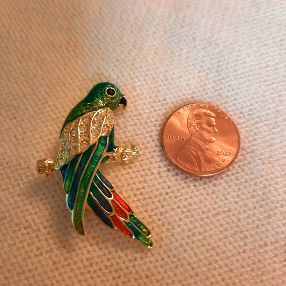 Jewelry | Colorful Parrot Pin | Poshmark
